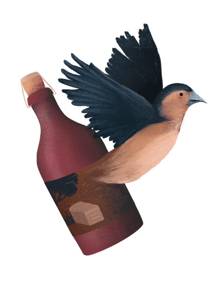 The Animal Kingdom of Belgian Beer and its Cultural Revelations
